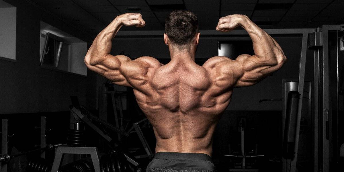 Bodybuilding: conheça este esporte impressionante | Feito de Iridium