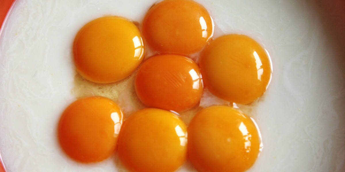 Gema de ovo: lembra o frango, mas é pros monstros | Feito de Iridium