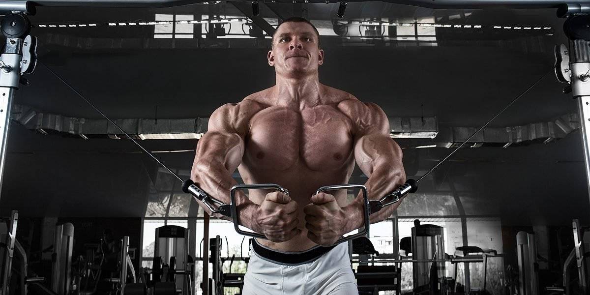 Exercicios De Musculos Peitorais Para Homens