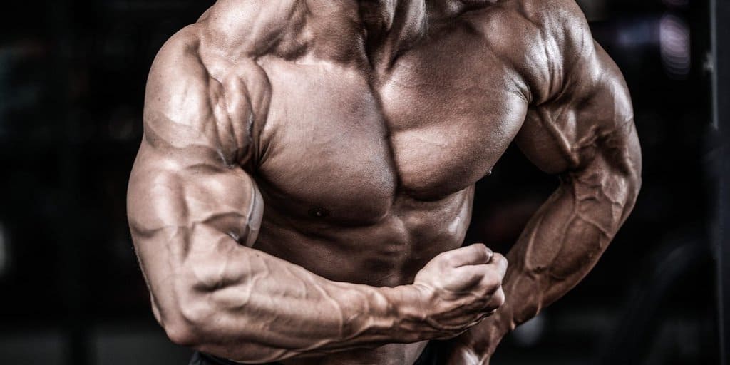Bodybuilding: o que fazer para se tornar um bodybuilder de verdade