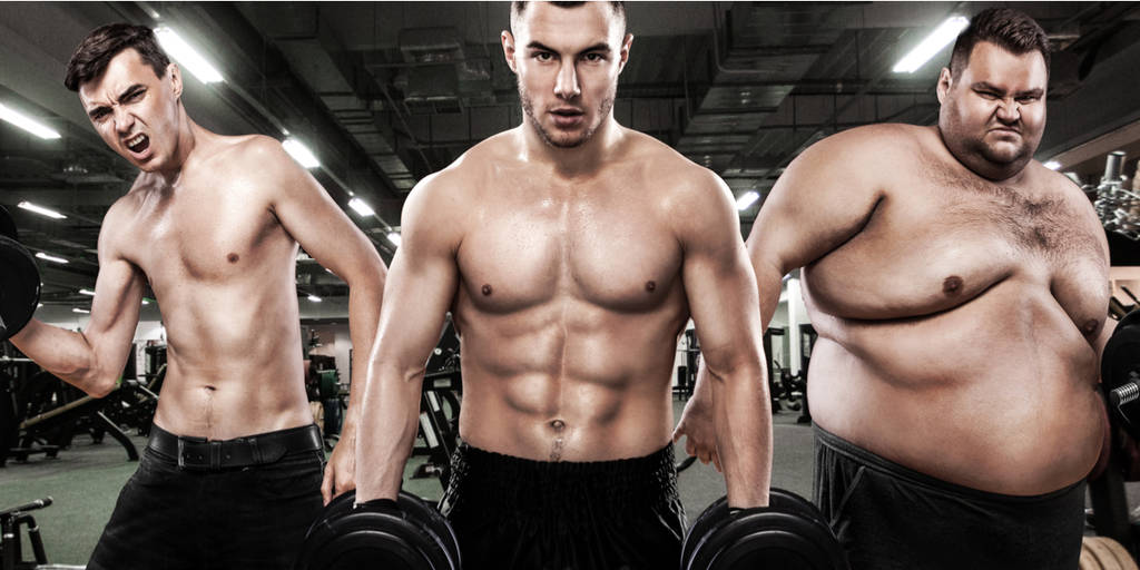 Endomorfo: como otimizar a alimentação de acordo com o seu tipo físico