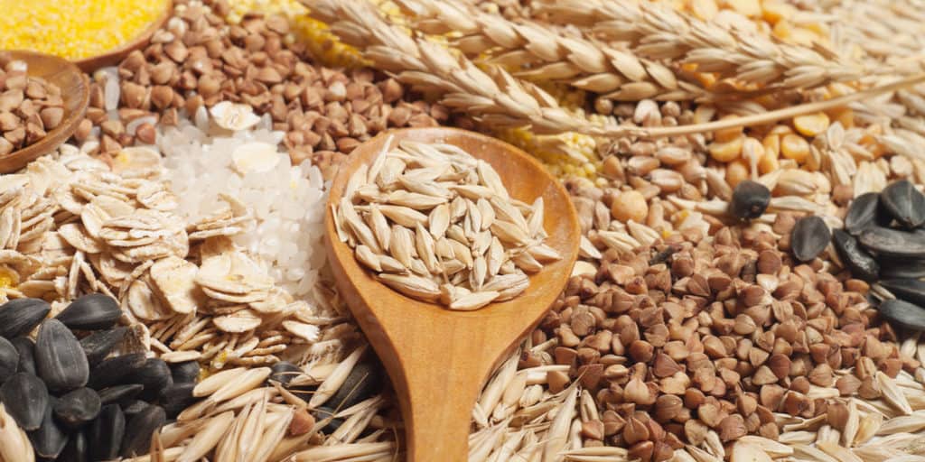 Os 6 melhores cereais para quem quer emagrecer